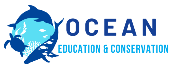 Marine Life – Ocean Education & Conservation