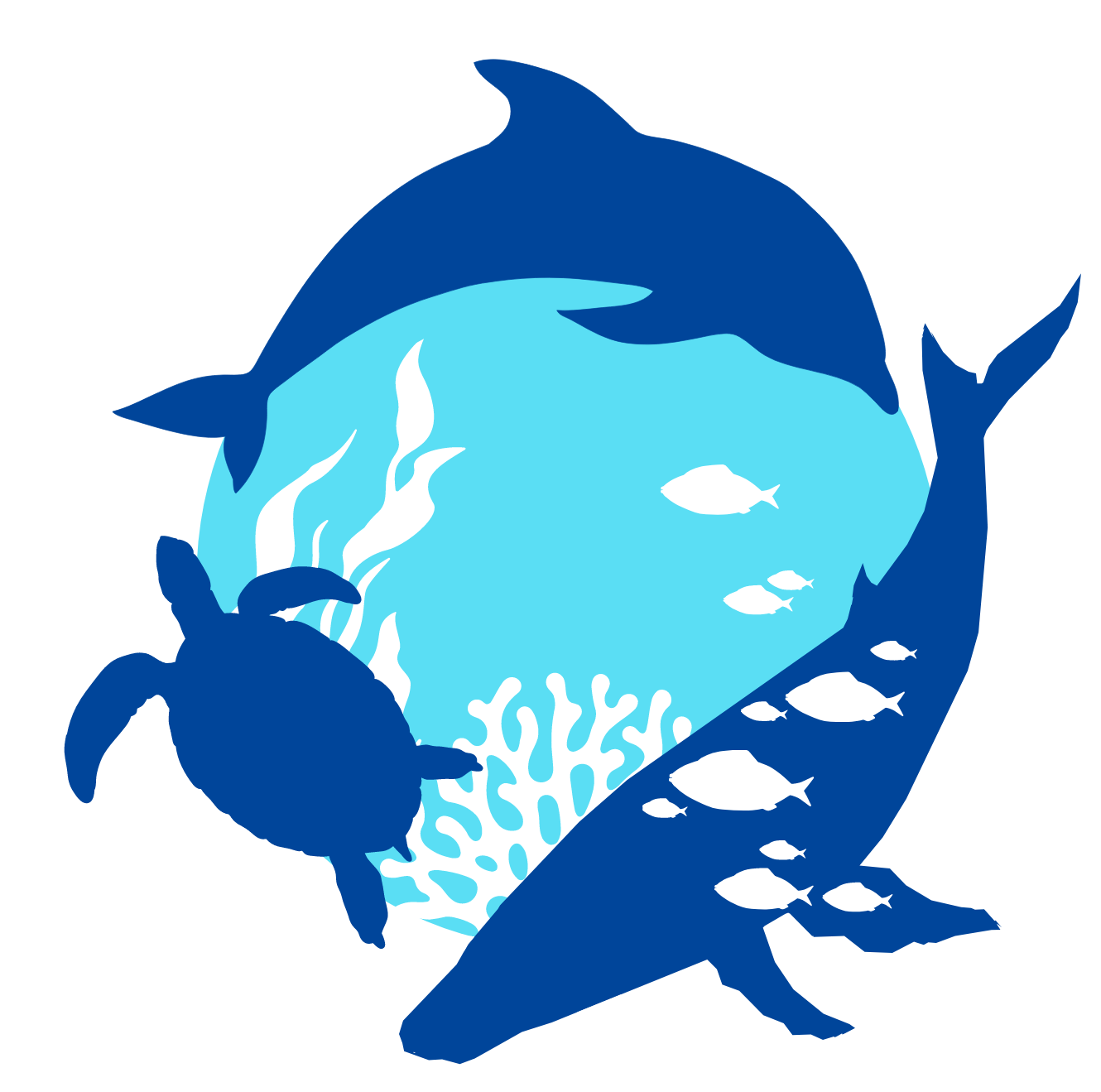 Save the Bees to Save the Seas – Ocean Education & Conservation