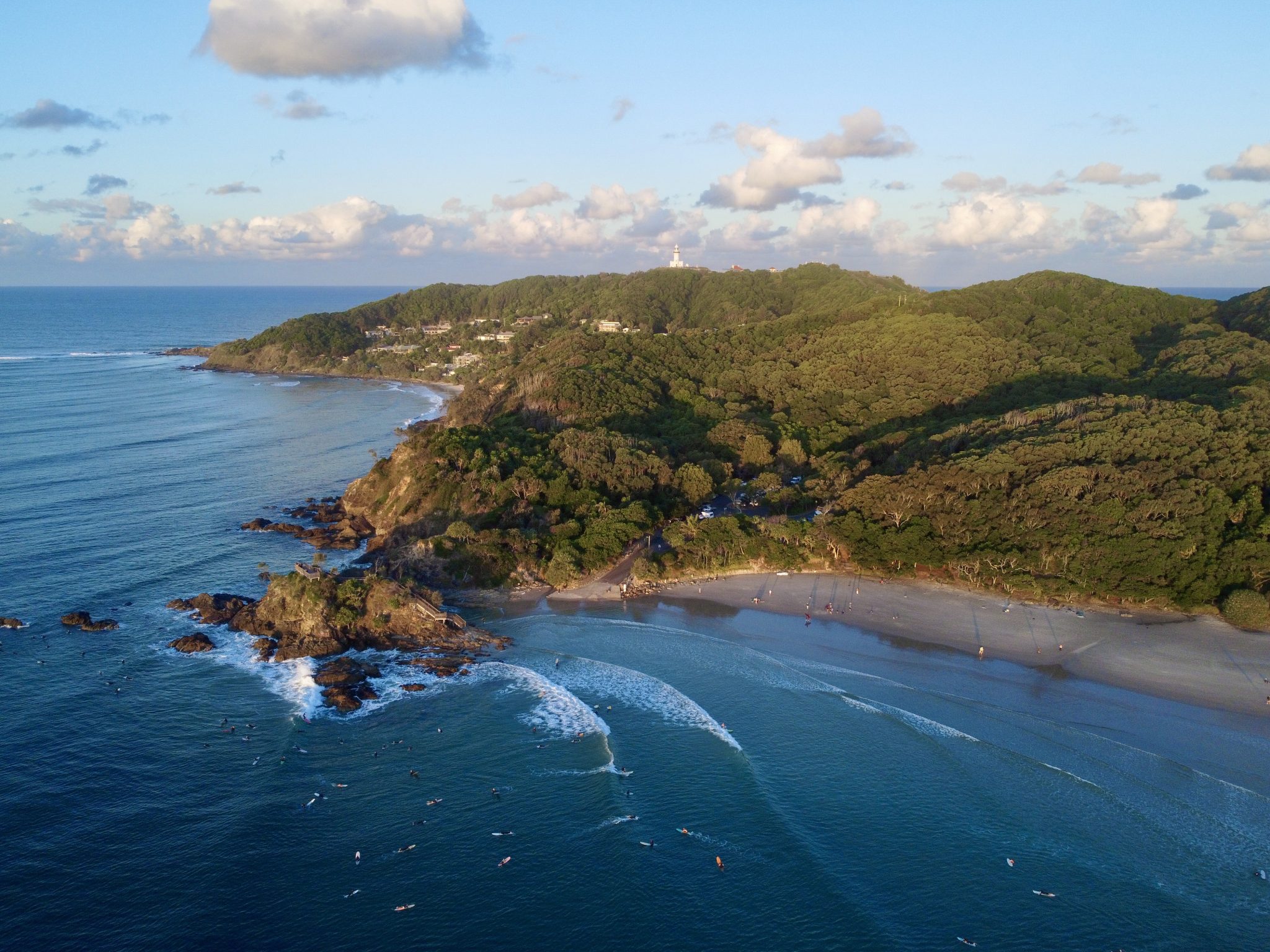 Coastal Blue-Carbon Ecosystems – Ocean Education & Conservation