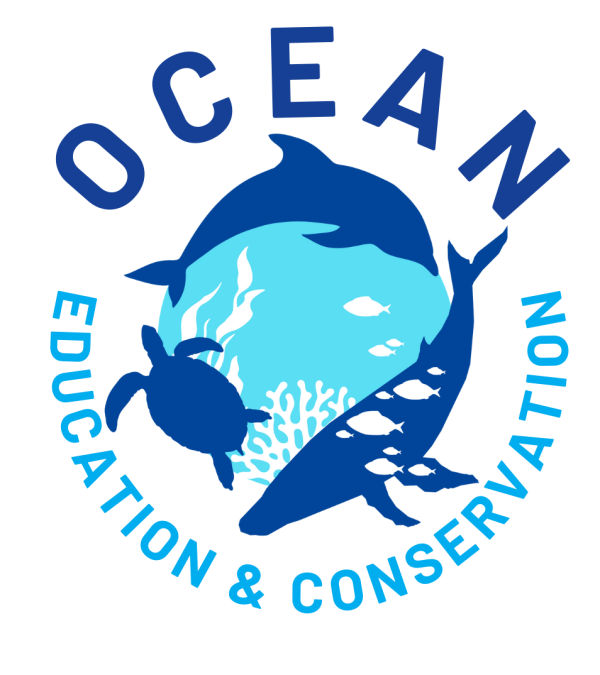 Grey Mangrove – Ocean Education & Conservation