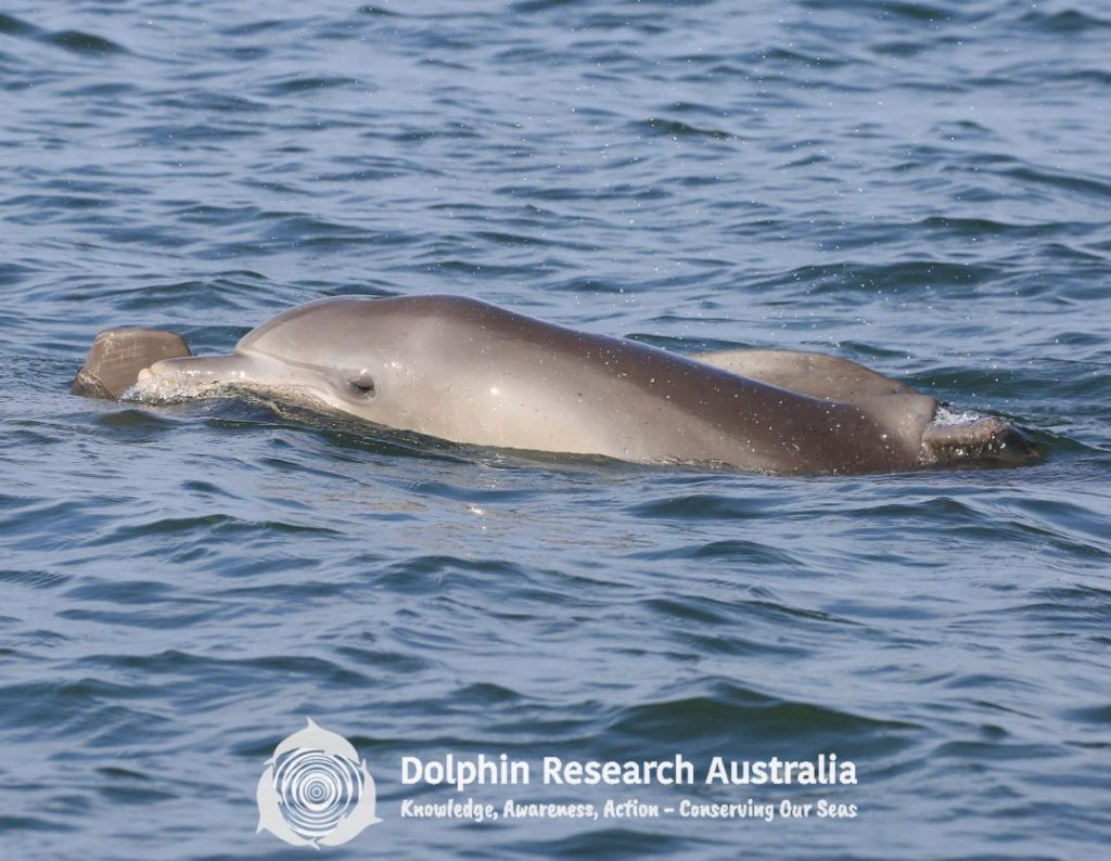 Support Ocean Conservation – Ocean Education & Conservation