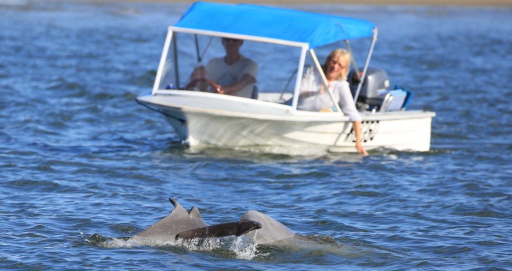 Disturbance to Marine Life – Ocean Education & Conservation